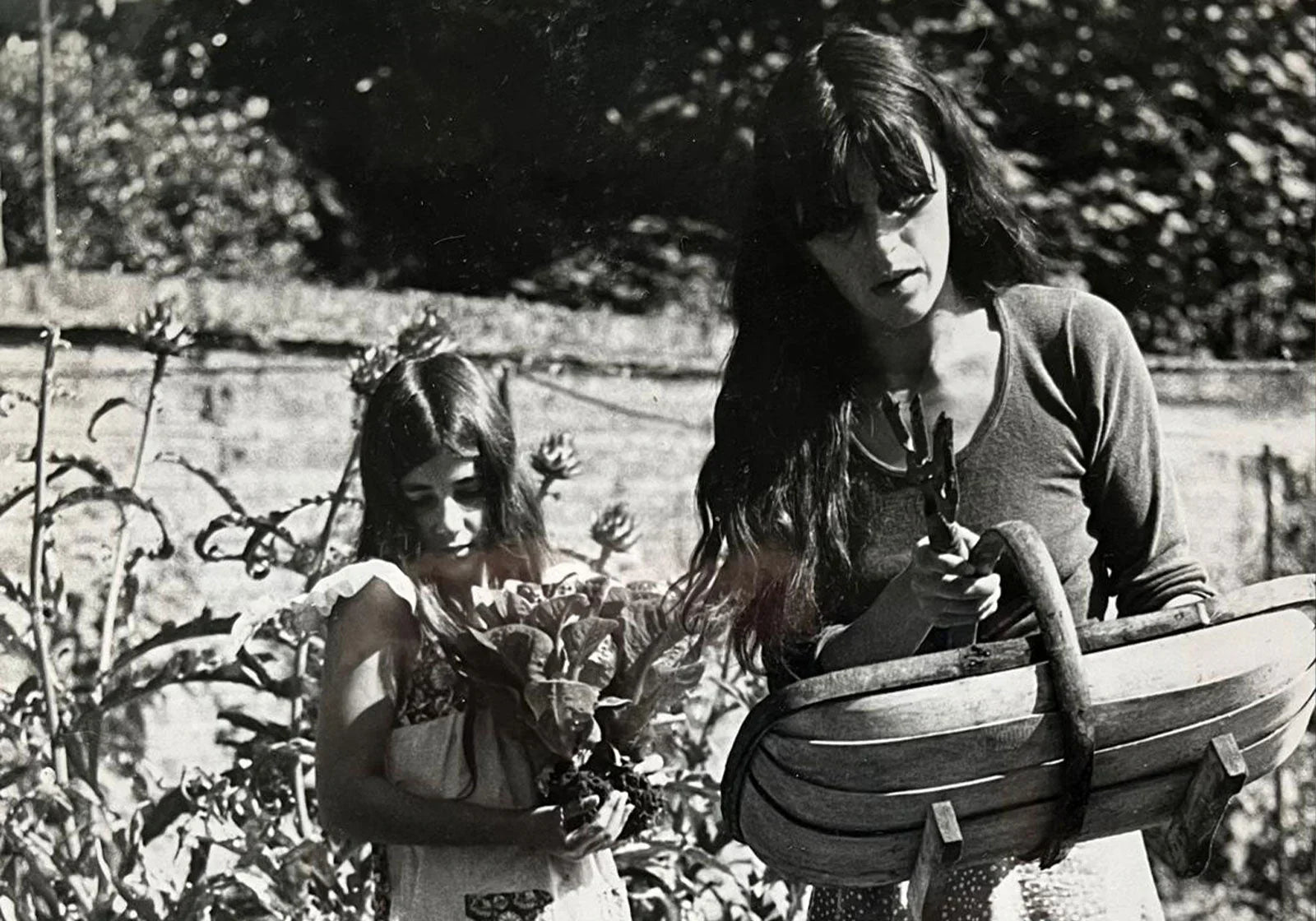 Sick Days – Bella Freud US